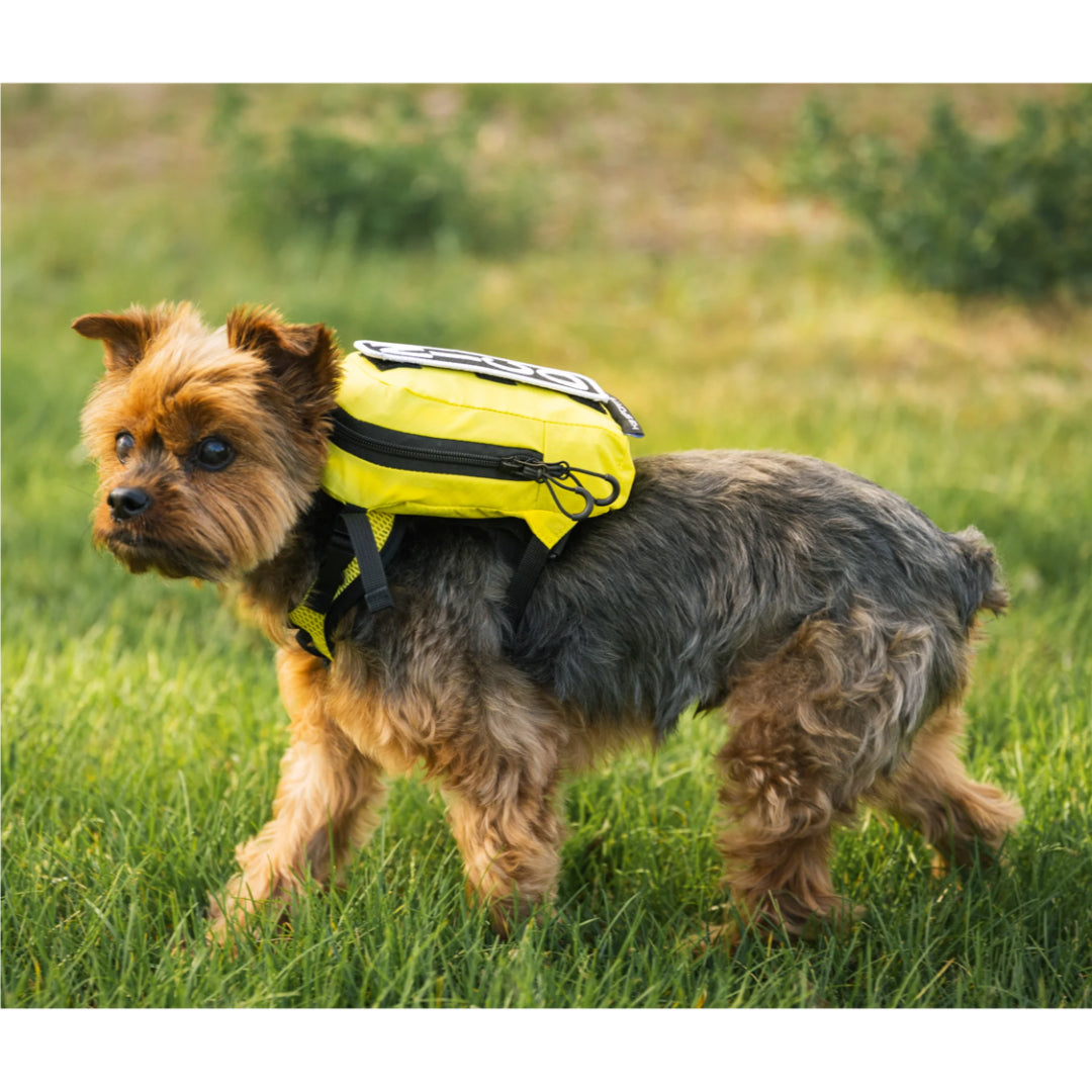 K9 Sport Sack WALK ON (THREE-IN-ONE) – RunWild