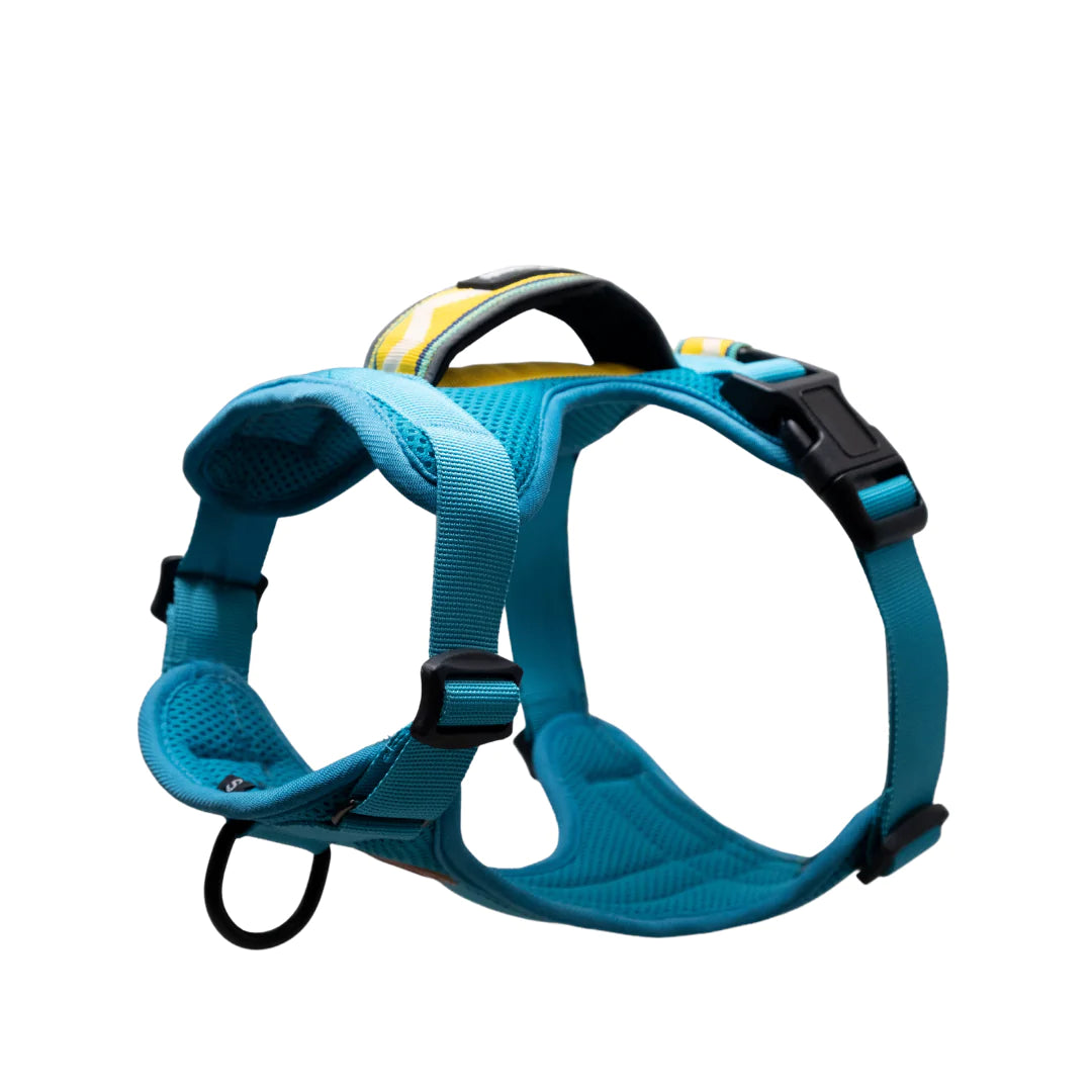 ARCTIC SAMMY Adventure Dog Harness | Run Wild | Buy Online – RunWild